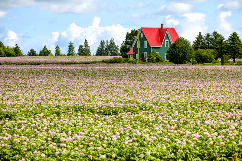 rural and northern immigration pilot canada - Canentry - Medium