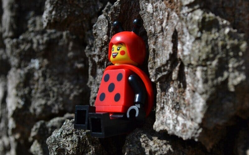 Angular Prettier Eslint Configuration By Shaikh Zaki Mohammed 9768