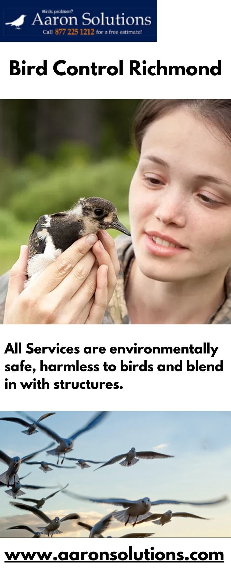 Bird Control Richmond — Aaron Solutions - Aaronsolutions - Medium