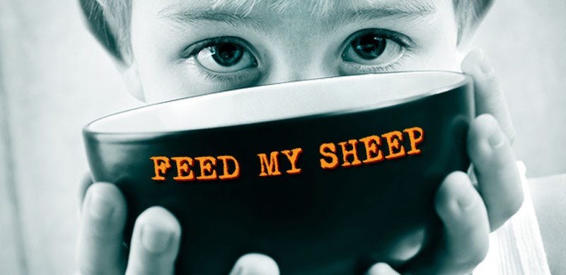 Should Pastors Feed the Sheep or Should the Sheep Feed Themselves? | by ...