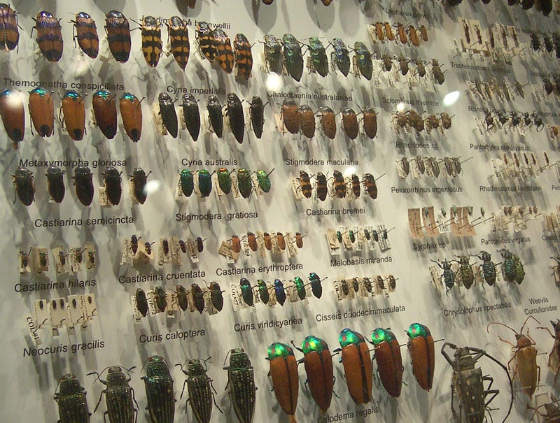 Write better bugs titles. Write about symptoms, not about root… | by ...