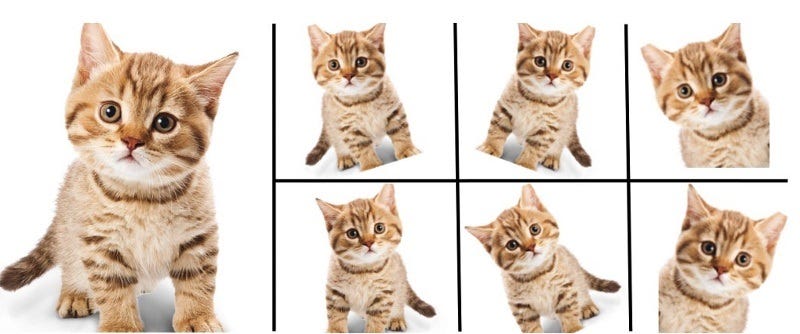 The Power of Data Augmentation: Enhancing Machine Learning with ...