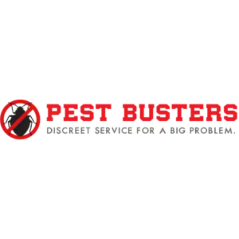 PestBusters | by PestBusters | Medium