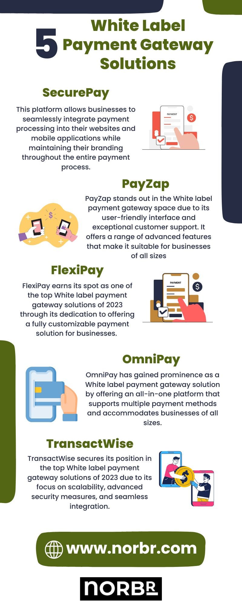 5 White Label Payment Gateway Solutions - NORBr - Medium