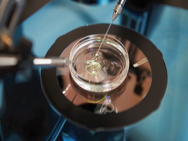 IVF Babies. Having a baby truly is a blessing for… | by Ziva fertility ...