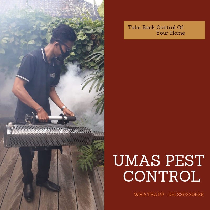 081339330626 The Best Pest Control Bali | by Elony Efrata | Medium