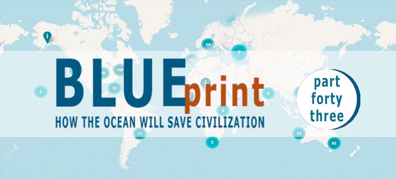 The Transition Movement. The Transition Network supports more… | by ...