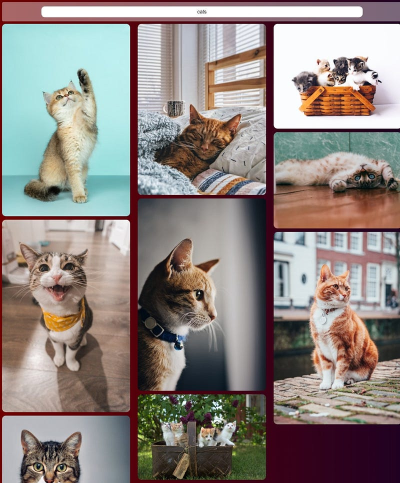 How to Build a React Unsplash Gallery | by Joseph K. Muchai | Stackademic