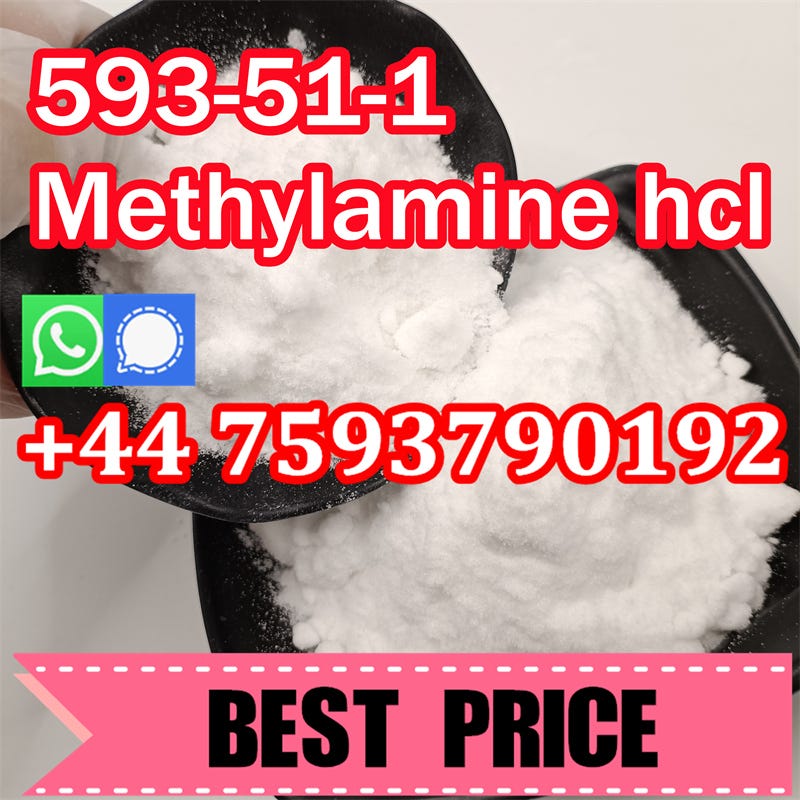 Methylamine Hydrochloride 593–51–1 MMA powder 99% purity - Oris - Medium