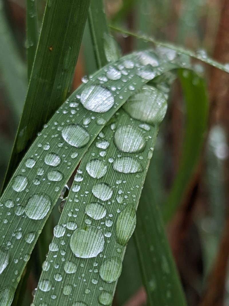 44. Precepts. The Tao Te Ching Series | by William the Hermit | Bouncin ...