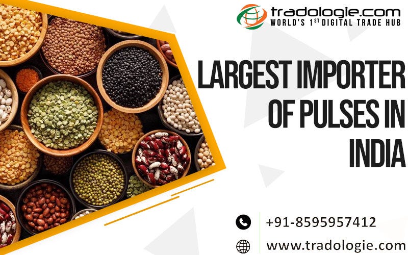 Largest Importer Of Pulses In India - Tradologie - Medium