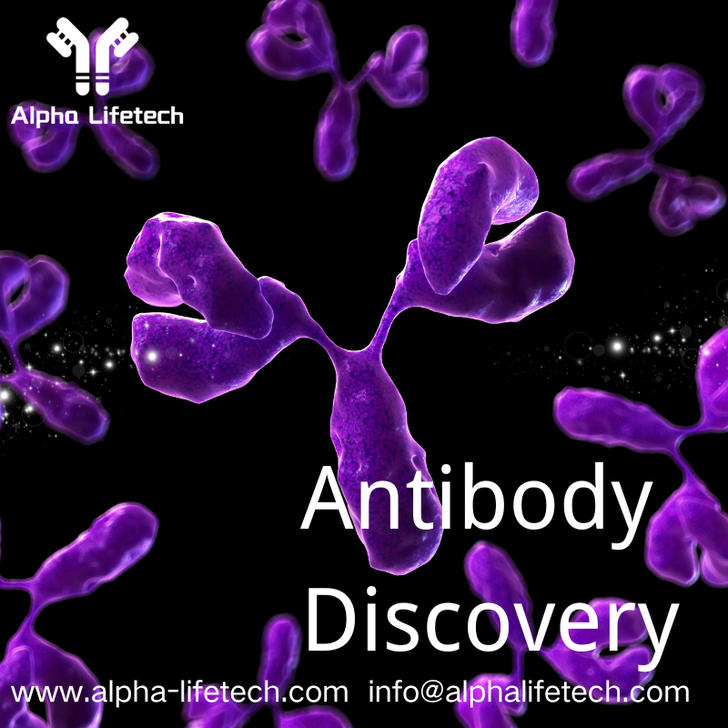 Alpha Lifetech-Overview of High Throughput Screening (HTS) | by Alpha ...