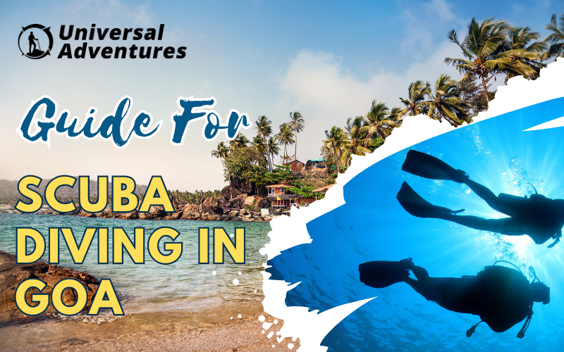 Unveiling the Underwater Wonders: A Guide to Scuba Diving in Goa | by Your Travel Guide | Medium
