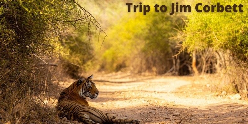 3 TIPS TO SAVE MONEY ON YOUR TRIP TO JIM CORBETT - Corbett National ...