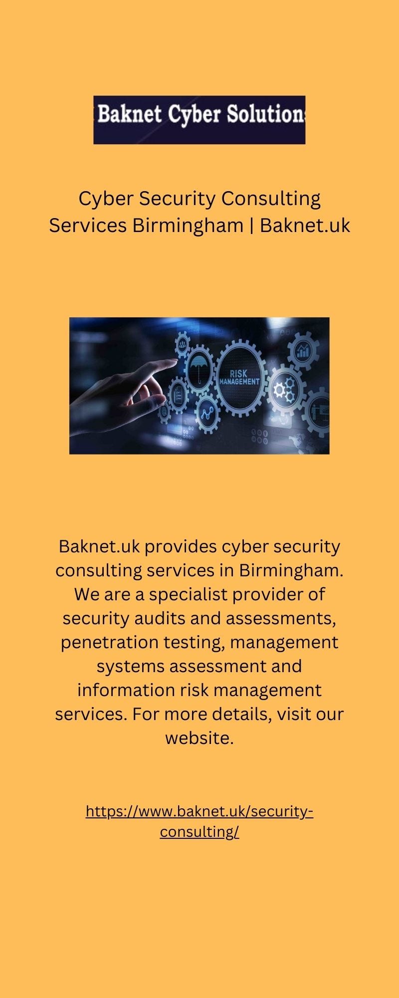 Cyber Security Consulting Services Birmingham | Baknet.uk - baknet ...