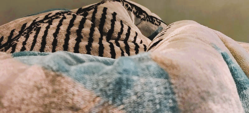 Blankets Gobble Everything. Fu*king mystery, this cursed quilt | by ...