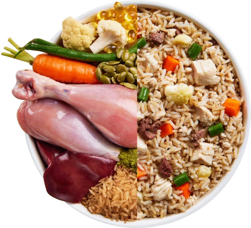 Signature Feast: A Nutrient-Rich Delight for Your Furry Friend | by ...