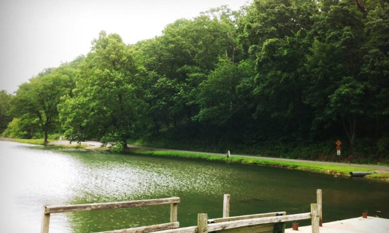 the lake - Fernanda Ituarte - Medium