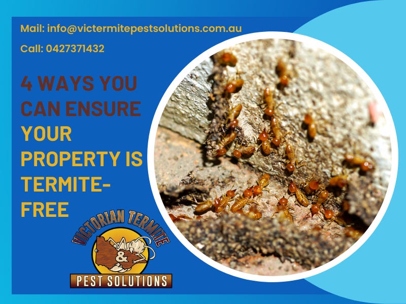 4 Ways You Can Ensure Your Property Is Termite- Free | by ...