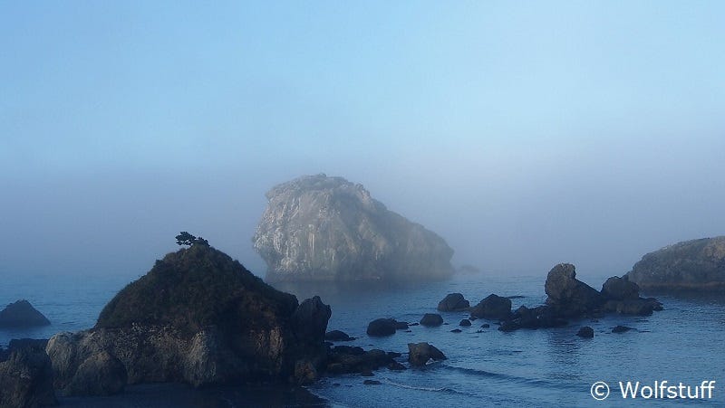 The Still Whisper - Zen Poetry - Medium