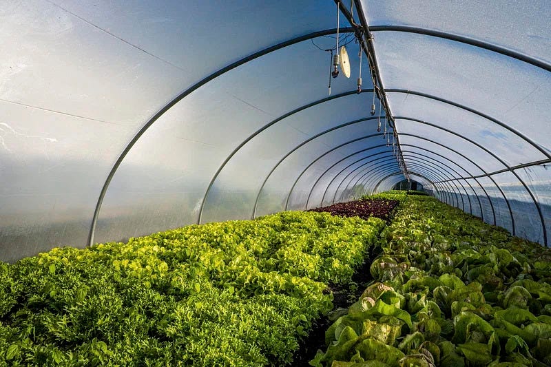 Precision Farming in India. Precision agriculture, often referred… | by ...