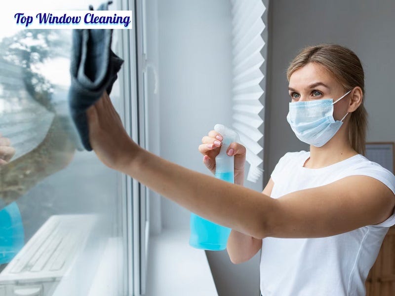Specialized Window Screen Cleaning Service - Top Window Cleaning - Medium