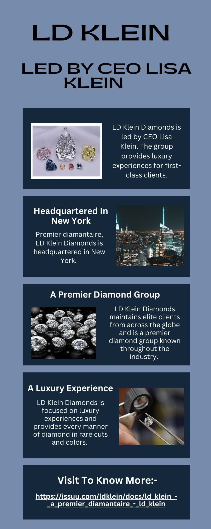 LD Klein — Led By CEO Lisa Klein - LD Klein - Medium