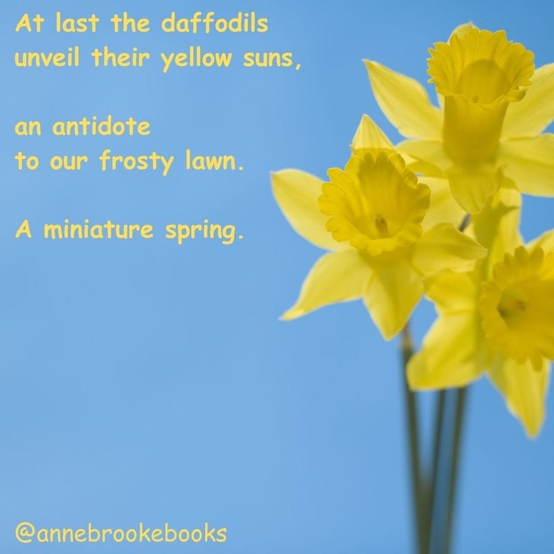 Miniature Spring - Anne Brooke - Medium