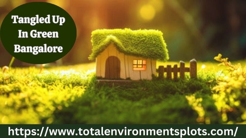 Invest In A Sound Future With Tangled Up In Green - Harpreetm - Medium