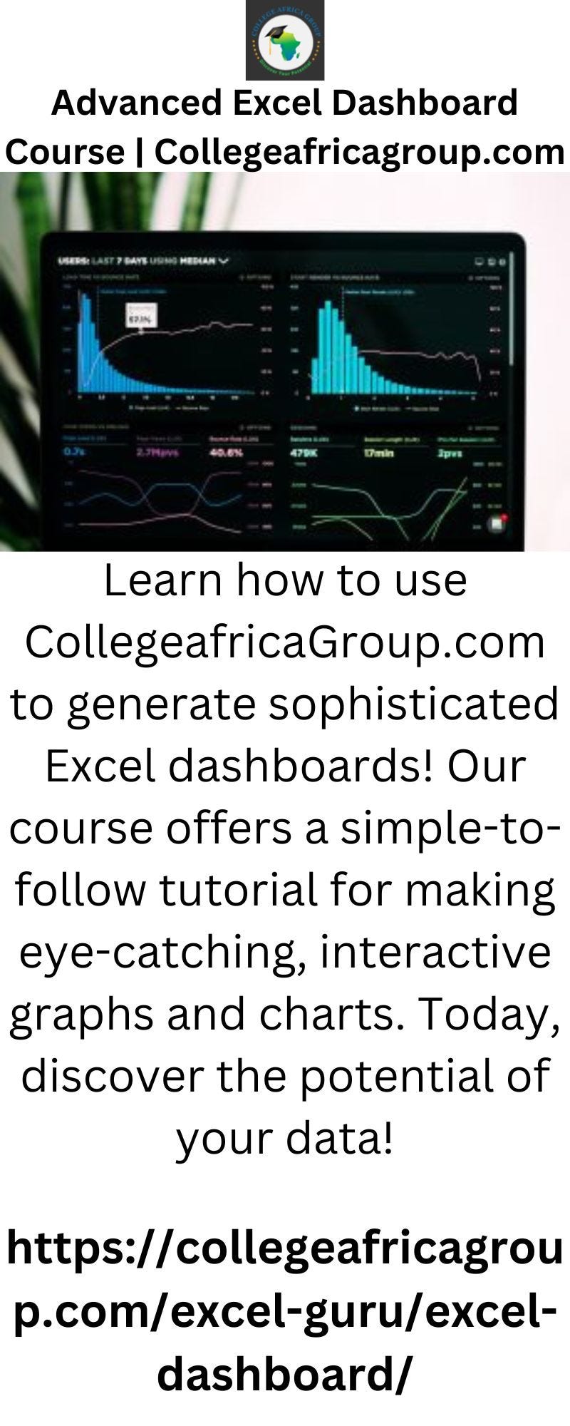 Advanced Excel Dashboard Course | Collegeafricagroup.com - College Africa Group - Medium