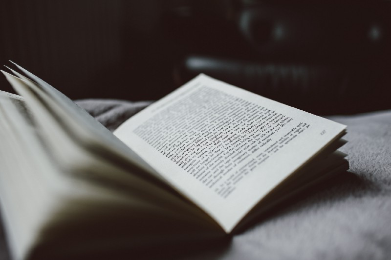How to Write Great Sentences. Learn to write clear, engaging… | by ...