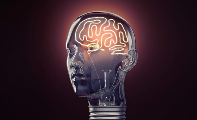Affective RLHF | Panpsychism: How Does Human Intelligence Work? | by ...