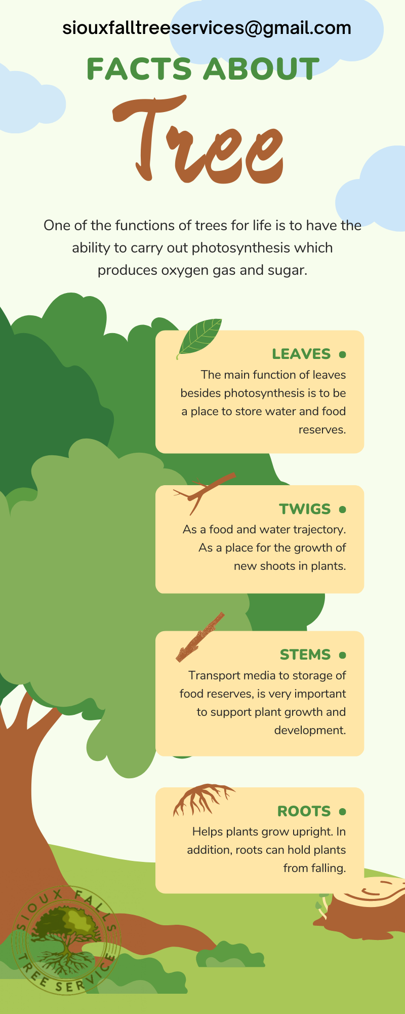 Facts About Trees [Infographic] - Sioux Falls - Medium