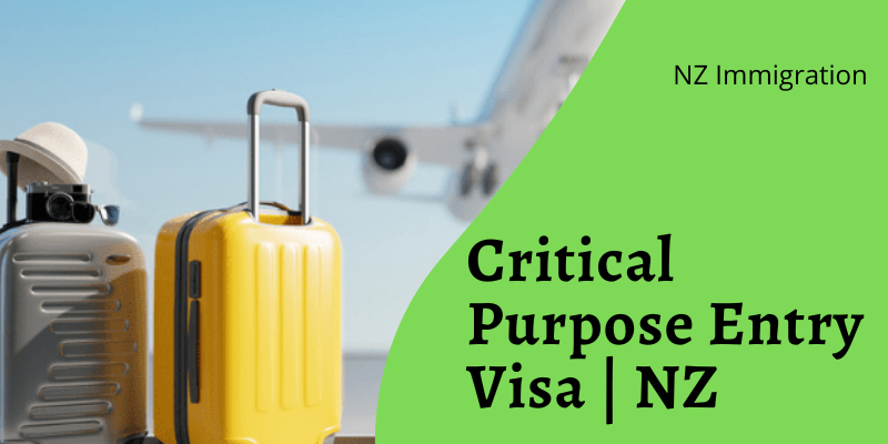 Critical Purpose Entry Visa | NZ - ROSS TAYLOR - Medium