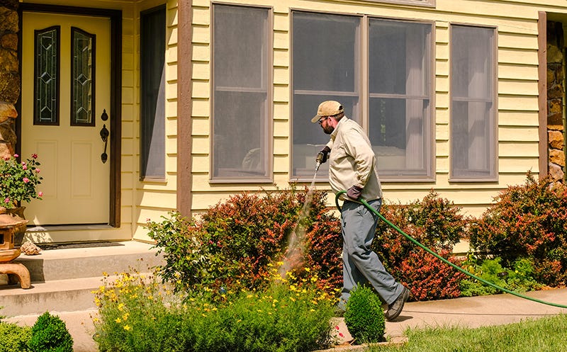 The Ultimate Guide to Pest Control Services for Residential Spaces | by ...