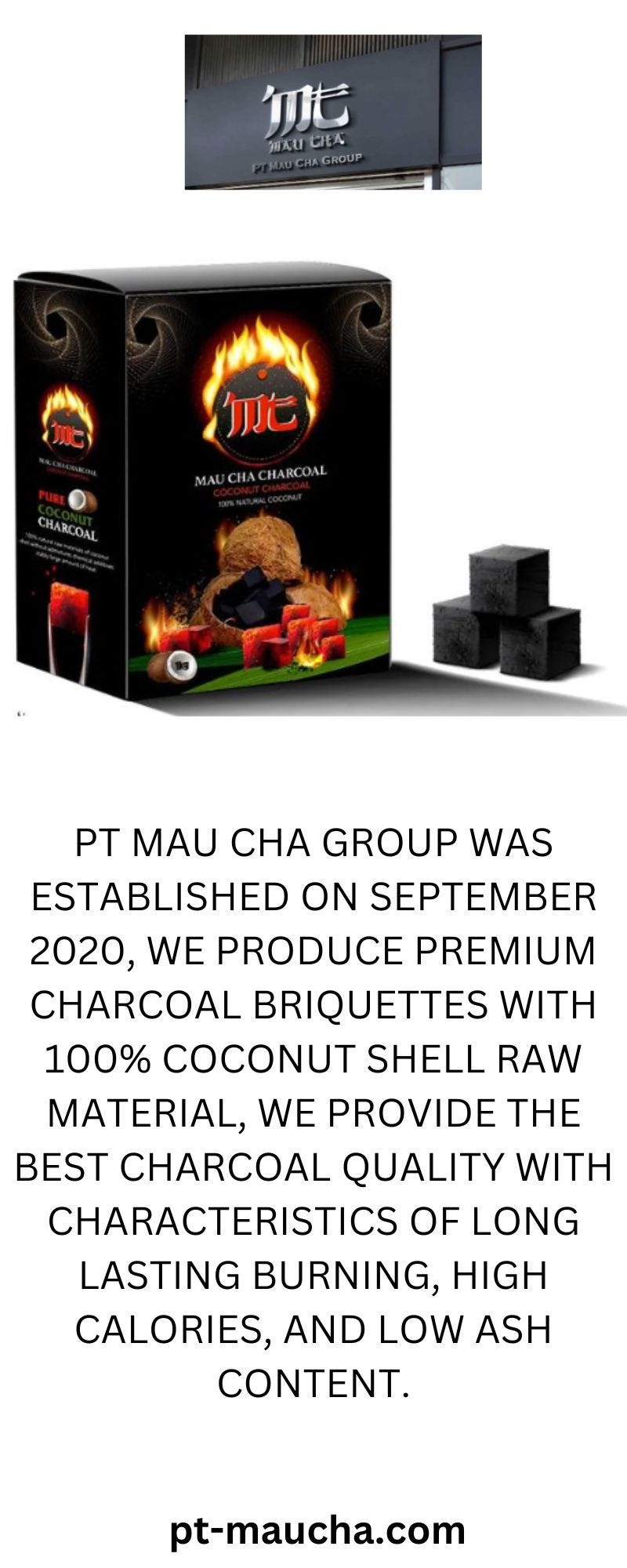 Coconut Shell Charcoal Briquettes | Pt-maucha.com - PT Mau Cha Group ...