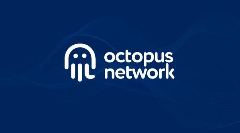 The Octopus Network Reach. The Future of Web 3.0 | by Chain Ridge ...