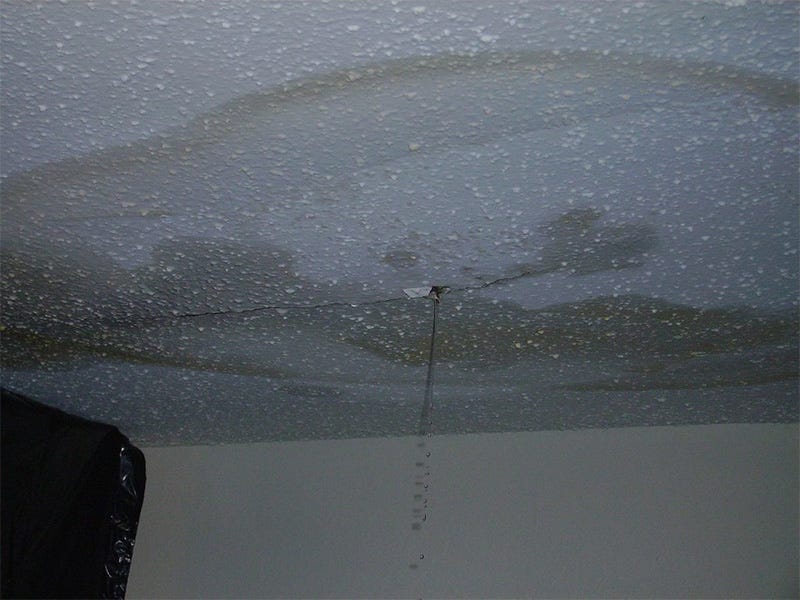 Ceiling Leaks: A Comprehensive Guide to Prevention and Repair | by ...