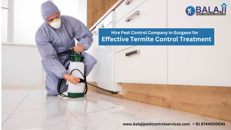 Hire Pest Control Company in Gurgaon for Effective Termite Control ...