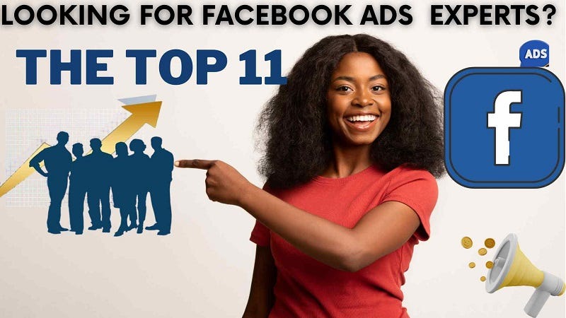 11 Best Facebook Ads Campaign Experts to Hire in 2024. | by Emerson ...