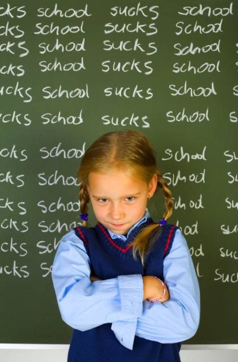 Education: Do We Really Need Schools Or Do We Need To Better Understand ...