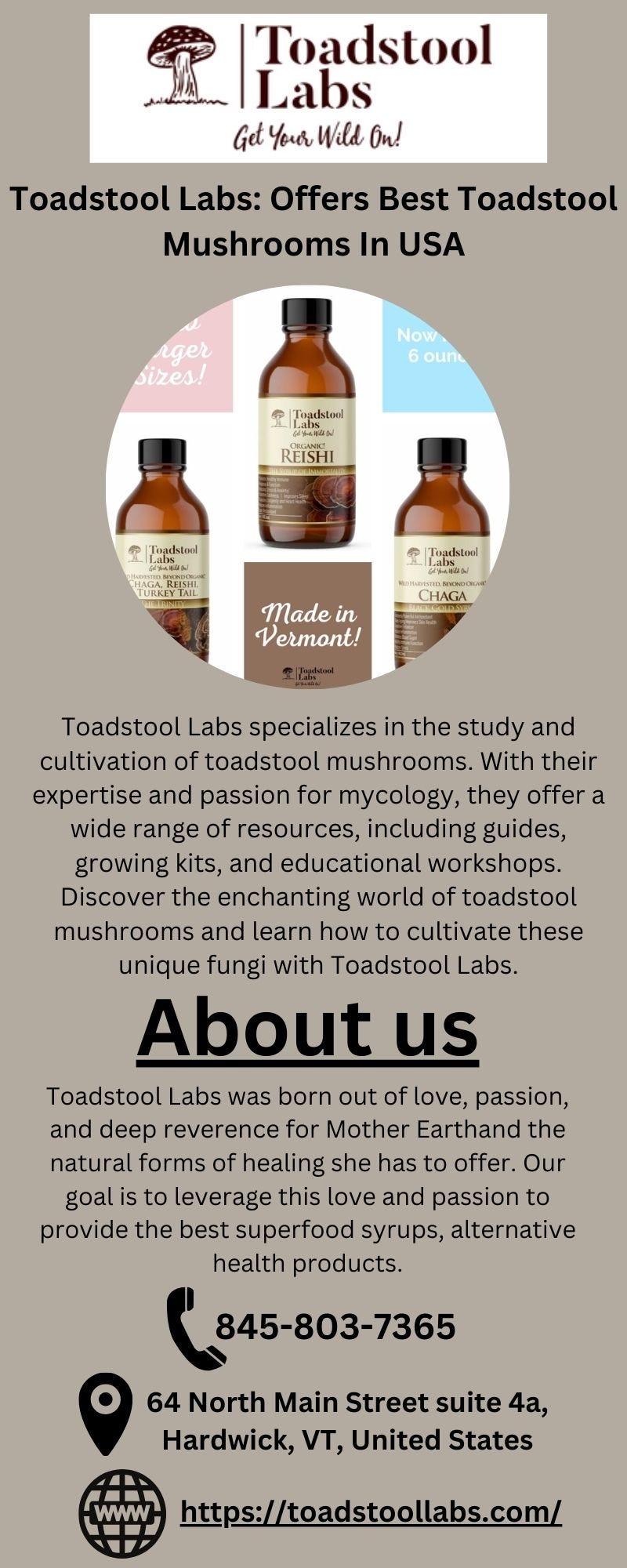 Toadstool Labs Offers Best Toadstool Mushrooms In USA - Toadstoollabs - Medium