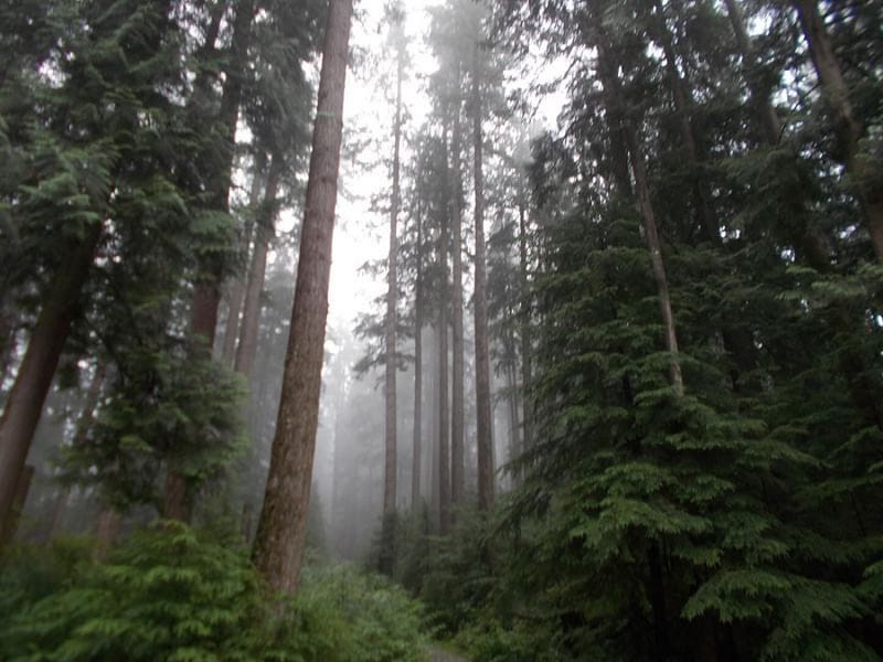My simple mortal life. Is all I’ve ever needed as I learn what… | by ...