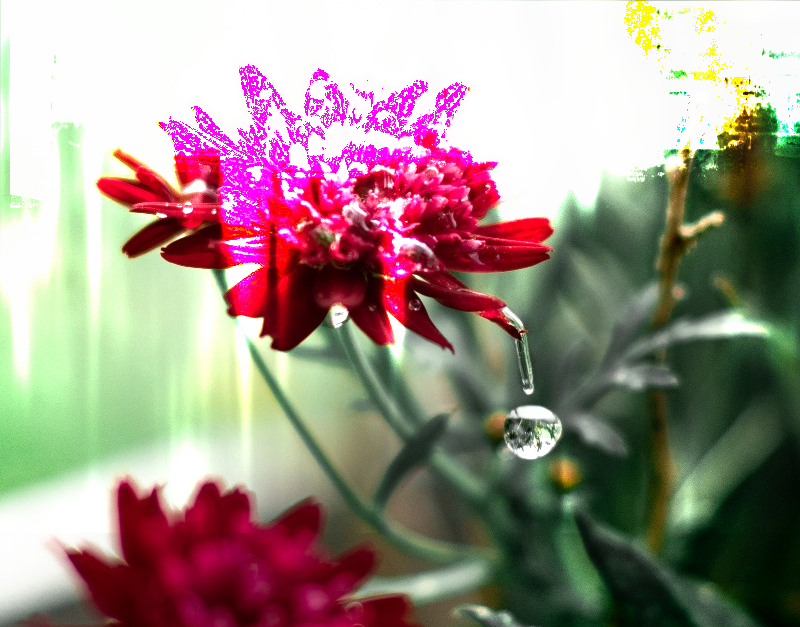 Water Pearls - Promptly Written - Medium