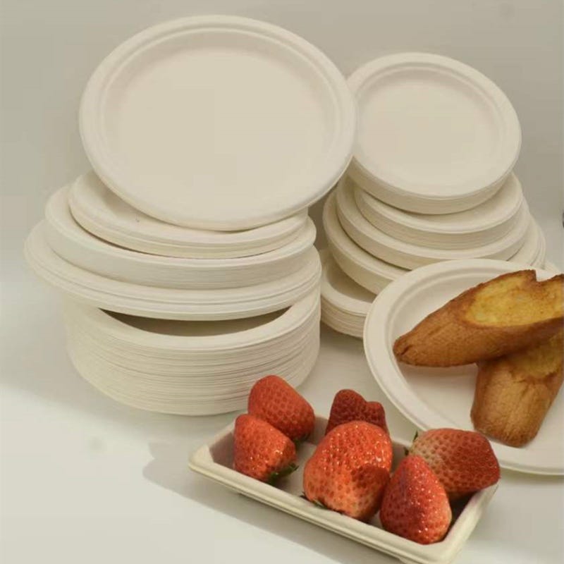 Biodegradable Bagasse Tableware Plates & Trays - MVI ECOPACK - Medium