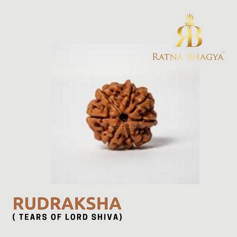 Buy pure and powerful Rudraksha from Ratna Bhagya - Parmeet Singh - Medium
