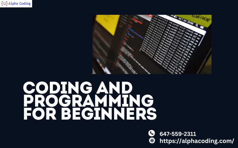 Getting Started With Coding And Programming For Beginners With Alpha Coding By Alpha Coding