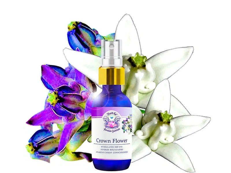 Shanti-Kai Crown Flower Master - Hawaiian Flower Essences - Medium
