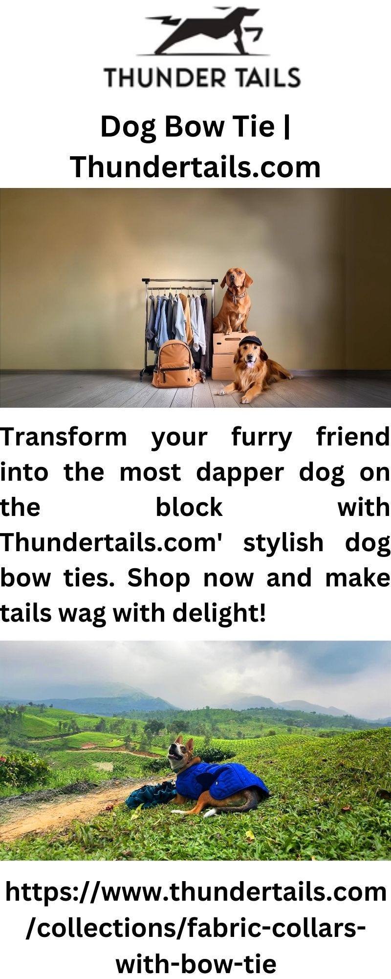 Dog Bow Tie | Thundertails.com - THUNDER Tails - Medium