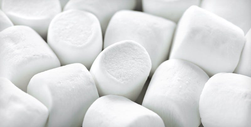 To Marshmallow Or Not To Marshmallow | by Rob Imbeault | Medium